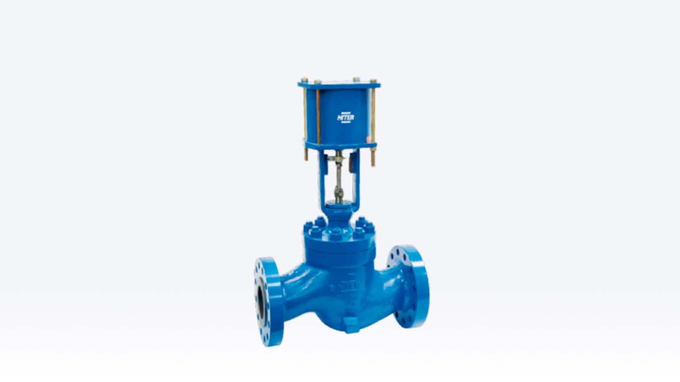 Globe Valves | 1000 Series | Hiter