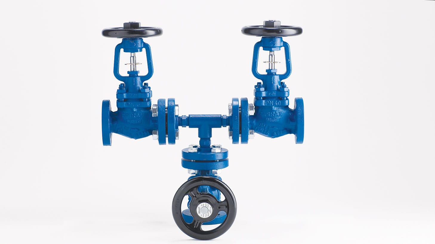 Double Block & Bleed ventiler | Danmark | Spirax Sarco