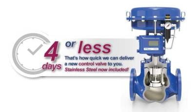 Quick Ship Control Valve Program